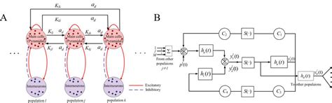 A The Structure Of The Neural Mass Model B Block Diagram Of The