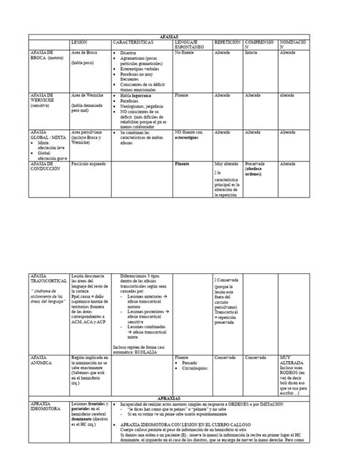 Afasias Pdf Afasia Sistema Nervioso
