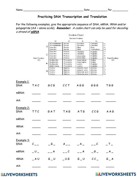 Dna Transcription And Translation Online Exercise For Live