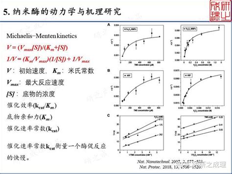 大牛带你零基础看懂纳米酶 知乎