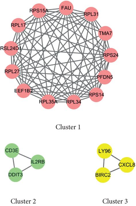 A Ppi Network Of Female Specific Degs B Three Functional Modules Download Scientific