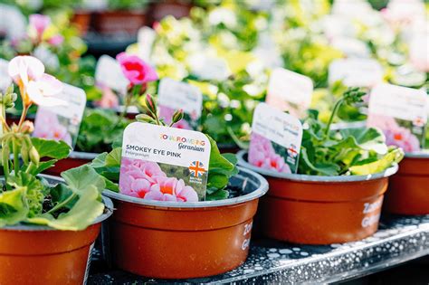 Lock In Labels Hortipak