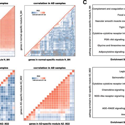 Correlation Heatmap Of Two Example Condition Specific Modules And Download Scientific Diagram