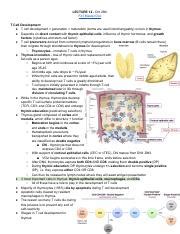 Thymus T Cell Development Maturation Education Course Hero