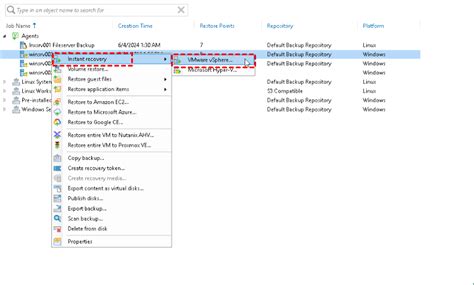 How To Use Instant Recovery With Imported Agent Backup