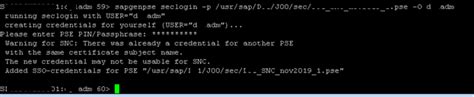 Sap Secure Network Communication Snc Encryption Configuration From