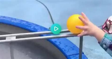 Coanda Effect Album On Imgur