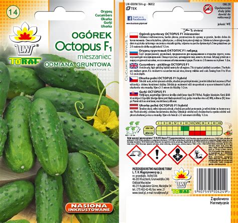 Ogórek śr wczesny Octopus gruntowy nasiona g Toraf SEMER Dom Ogród Budowa