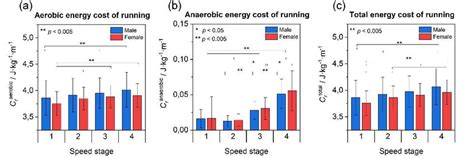 Aerobic And Anaerobic Contributions Along With Total Energy Cost Of
