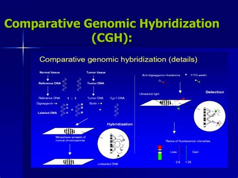 Ppt Genetic Diagnostic Methods Powerpoint Presentation Id 255627
