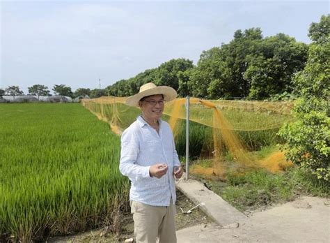 国稻种芯百团行动计划 何祖华：农业大健康与水稻顽疾死磕 知乎