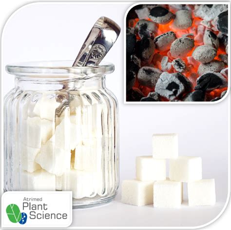 Sweet Tasting Beard And Invention Of Saccharin