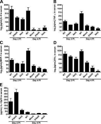 Increased Inflammatory Cytokine Responses In 129svev Engrafted Rag2−−
