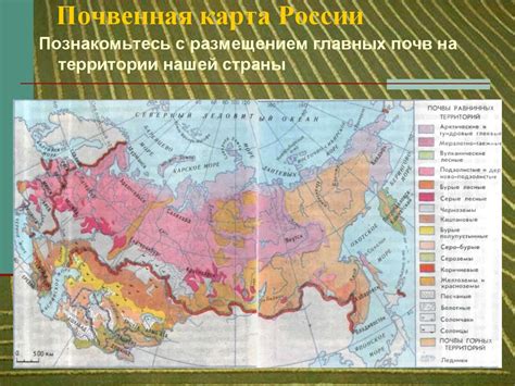 Почвы России презентация онлайн