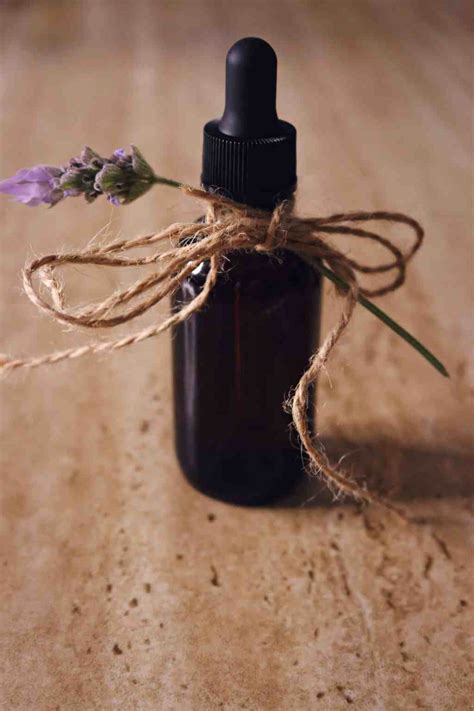 Diy Lavender Oil Made Without A Still