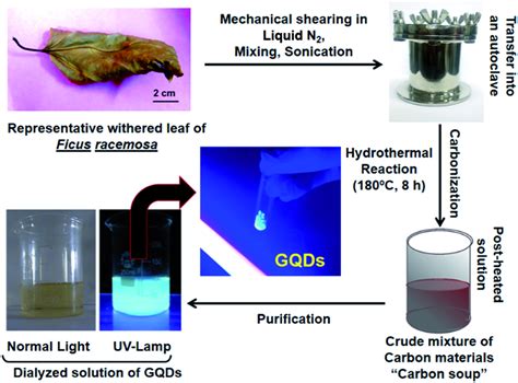A General Workflow Towards Synthesis Extraction And Purification Of