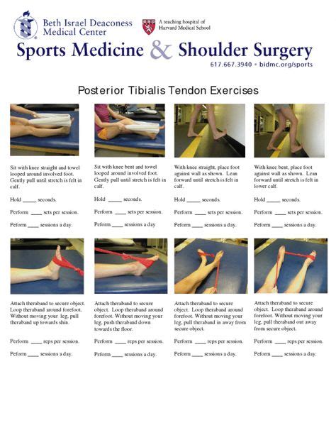 Posterior Tibialis Tendon Exercises Exercise Mobility Exercises