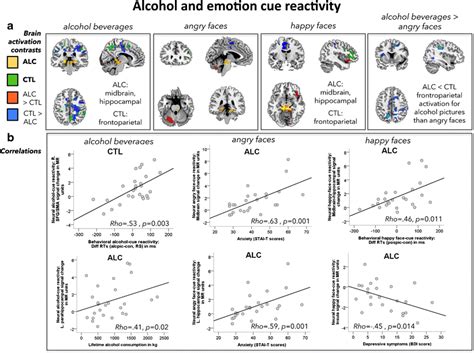 Cue Reactivity A Brain Activation Contrasts For Alcohol Beverage