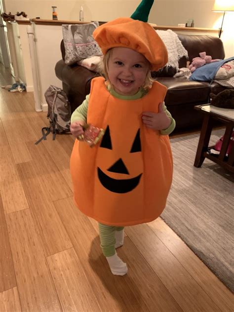 12 Diy Pumpkin Costume Ideas For Halloween Julie Ann Art