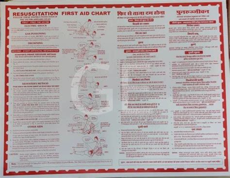 Paper Electric Shock Treatment Chart Packaging Type Packet At Rs 75