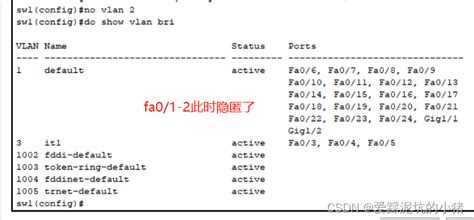 vlan和trunk配置 csdn博客