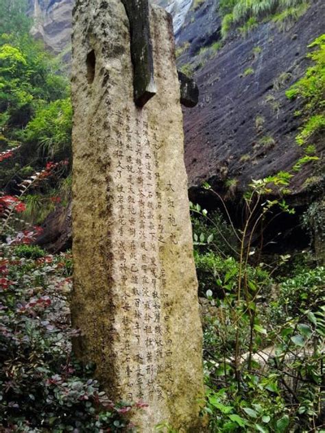 武夷山燕子窠大红袍 武夷山燕子窠茶叶 武夷山燕子窠茶厂 大山谷图库