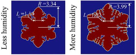 使用各向异性相场模型对湿度下冰晶枝晶生长进行数值模拟 Crystal Growth And Design X Mol