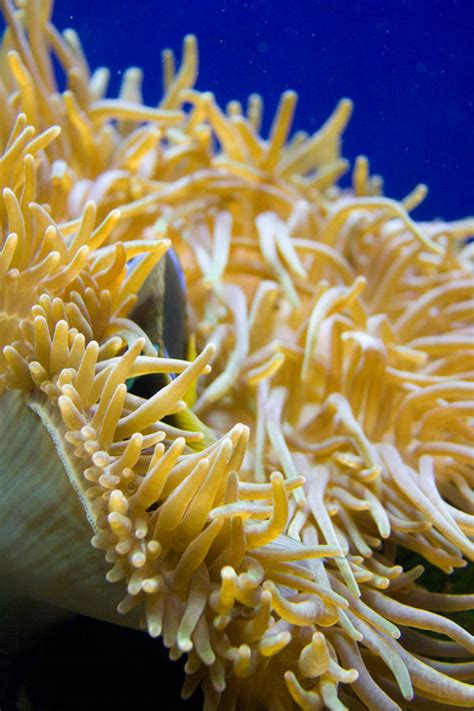 Protection By Somuchluv On Deviantart