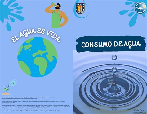 Consumo De Agua Diptico Gobsaludarticulossabes Por Que Es