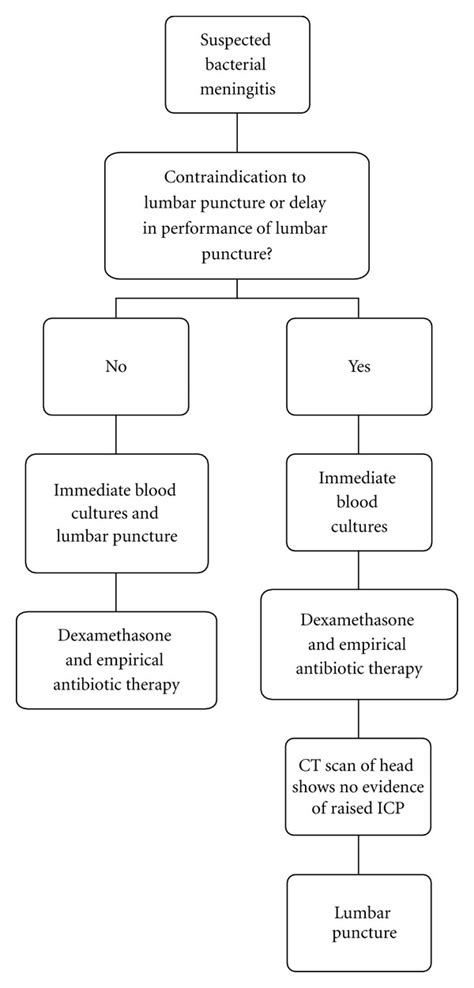 Management Of Suspected Bacterial Meningitis [9] Download Scientific Diagram