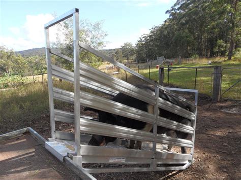 Portable Aluminium Livestock Ramps And Yards