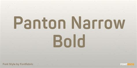 Panton Narrow Bold Font Style By Fontfabric Font Bros