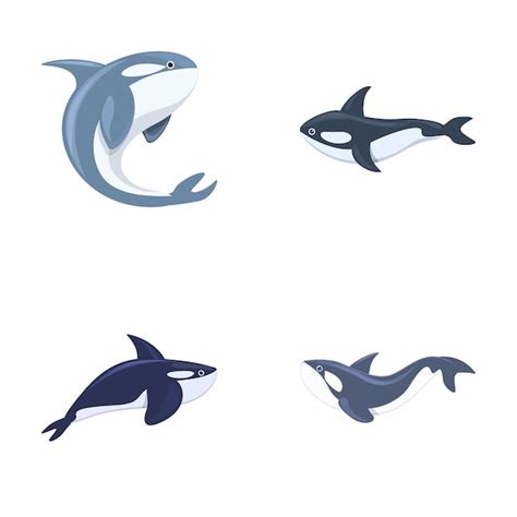Los Iconos De Las Ballenas Asesinas Se Establecen En El Vector De