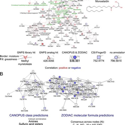 Molecular Networking Families A Example From The C18 Dataset Showing
