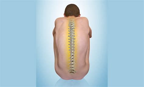 Terapia Craneosacral Aplicaciones Origen Tratamientos Peligros