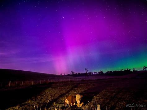 Aurora Australis Strong Naked Eye Southern Lights Up Hobart Tasmanian