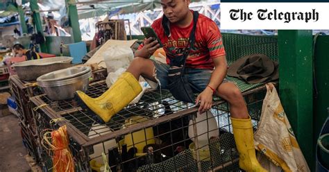 Bird Flu Kills School Girl And Infects Father 11 Others Under Observation