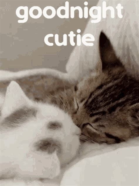 Goodnight Goodnight Cutie  Goodnight Goodnight Cutie Sleepy S