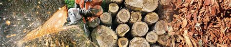 Mulch Supply And Delivery Brisbane Dynamic Tree Solutions