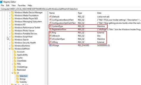 How To Get Windows Dev Builds Anyway