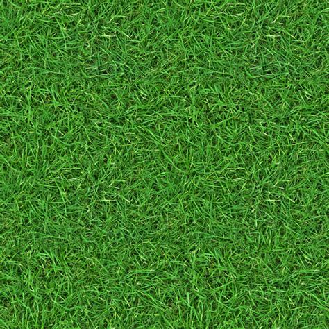 Vibrant Green Grass Texture Nature Wallpaper Background Free Download