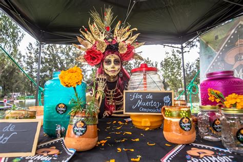 Disfruta de un tour de Día de Muertos en Xochimilco MonchiTime