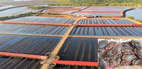 ခုနစ်လကျော် ကာလအတွင်း တရုတ်နိုင်ငံသို့ ကဏန်းတန်ချိန် ငါးထောင်ကျော်နှင့် ငါးရှဉ့်တန်ချိန် တစ်သောင