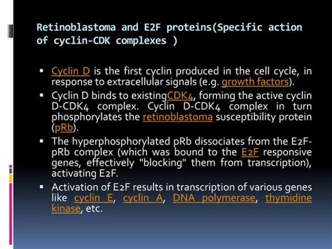 Eukayotic Cell Cycle Prashant Ppt