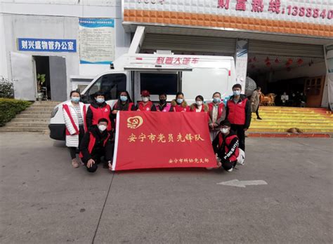 图文详情