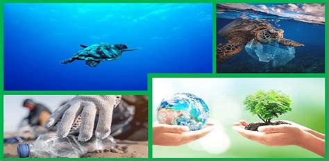 Día Mundial Del Medio Ambiente 2023 El Blog De Jorge Prosperi