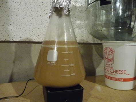 Slurry Vs Dry Yeast And Fermentation Northern Brewer Forum