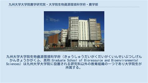九州大学大学院農学研究院・大学院生物資源環境科学府・農学部 Youtube