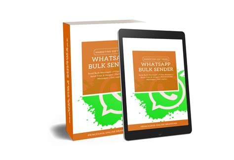 Bulk Whatsapp Sender Years Princesage Online Branding