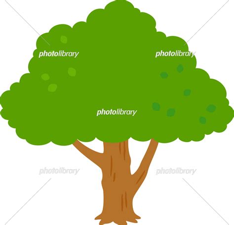 シンプルな木 イラスト素材 7103162 フォトライブラリー Photolibrary